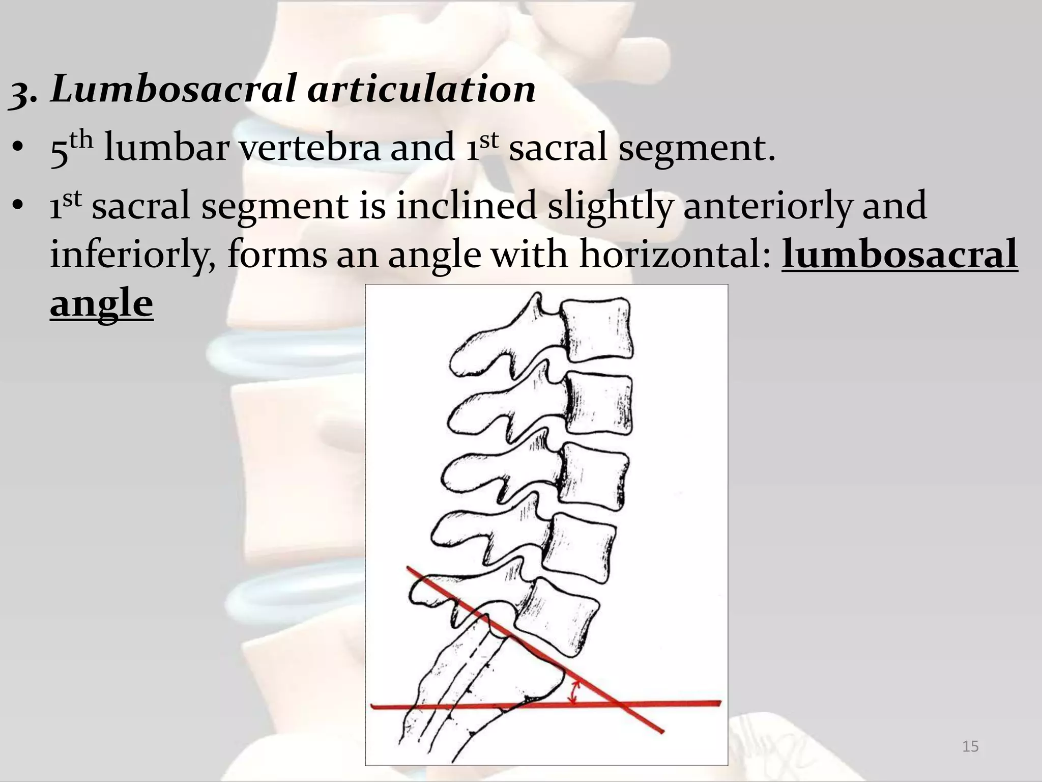 Biomechanics of lumbar spine | PPTX