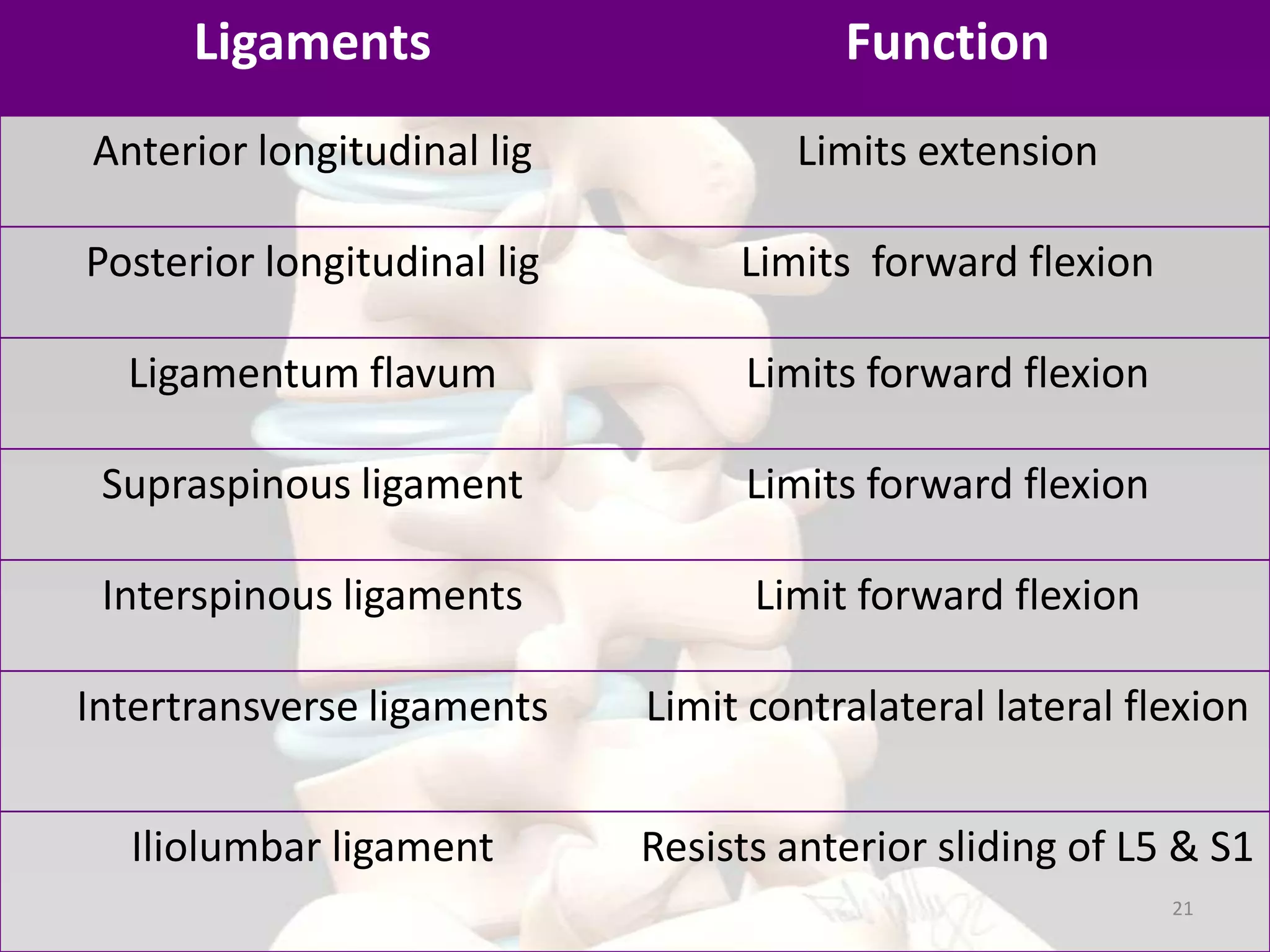 Biomechanics of lumbar spine | PPTX