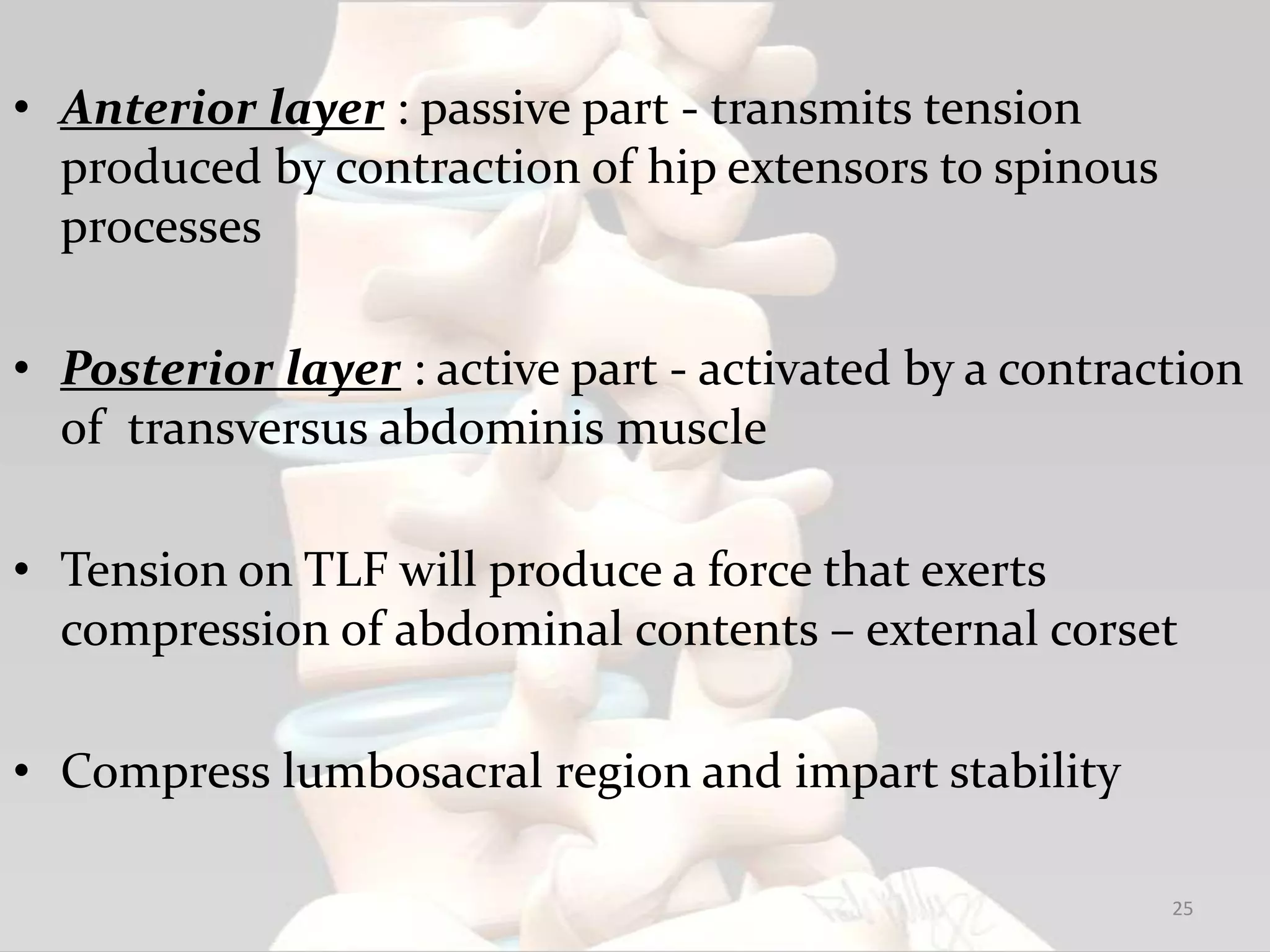 Biomechanics of lumbar spine | PPTX