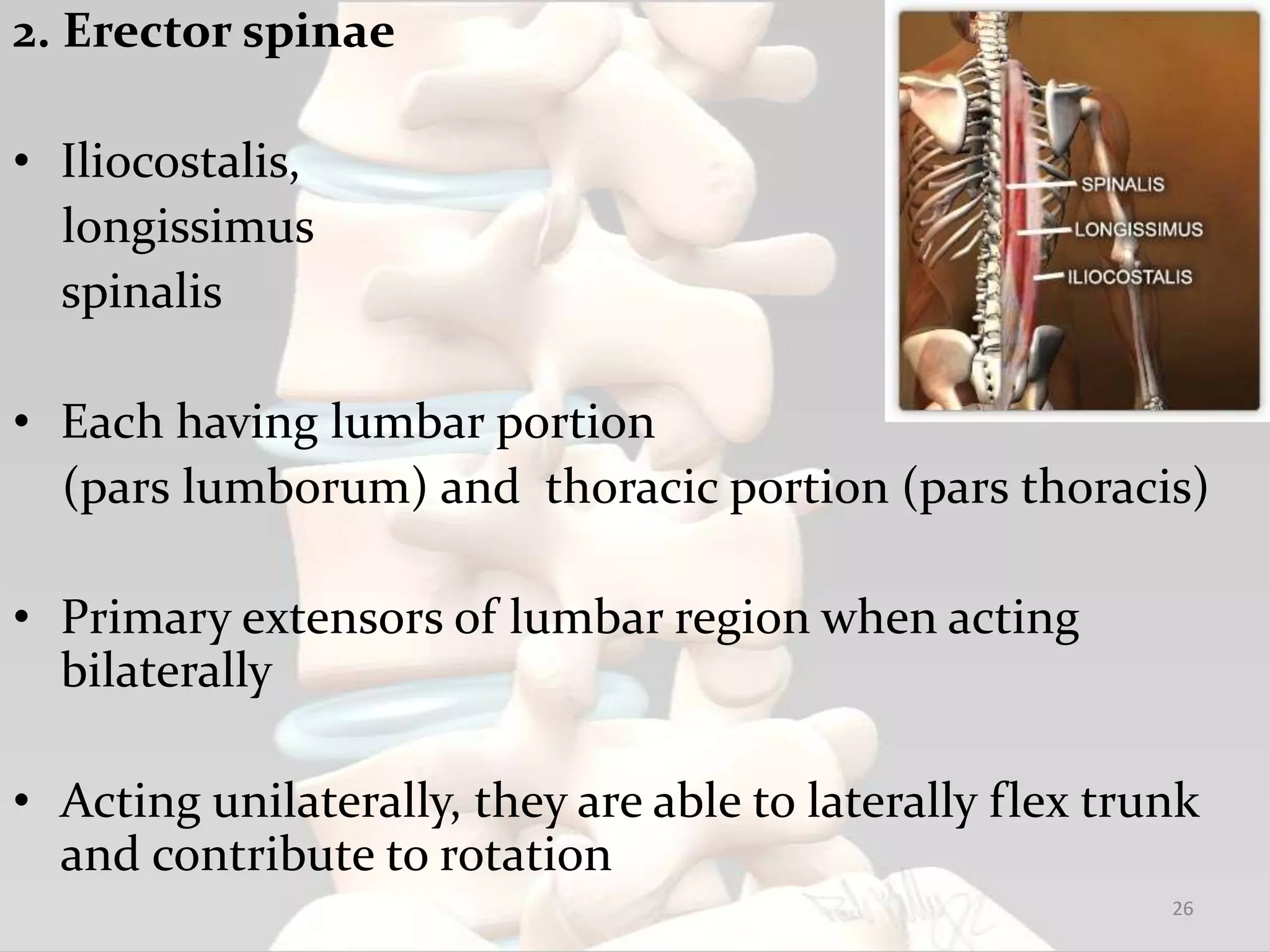 Biomechanics of lumbar spine | PPTX
