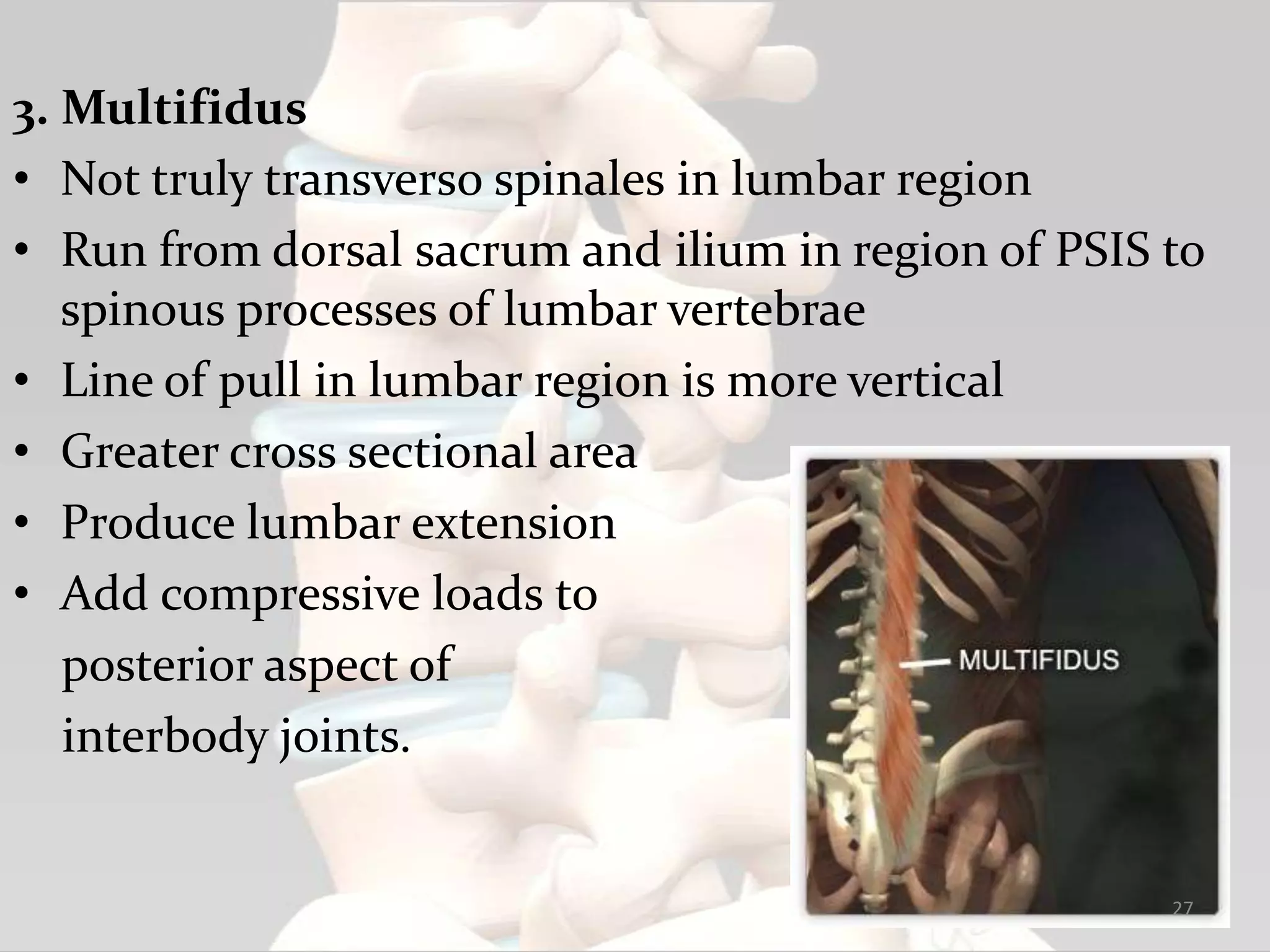 Biomechanics of lumbar spine | PPTX