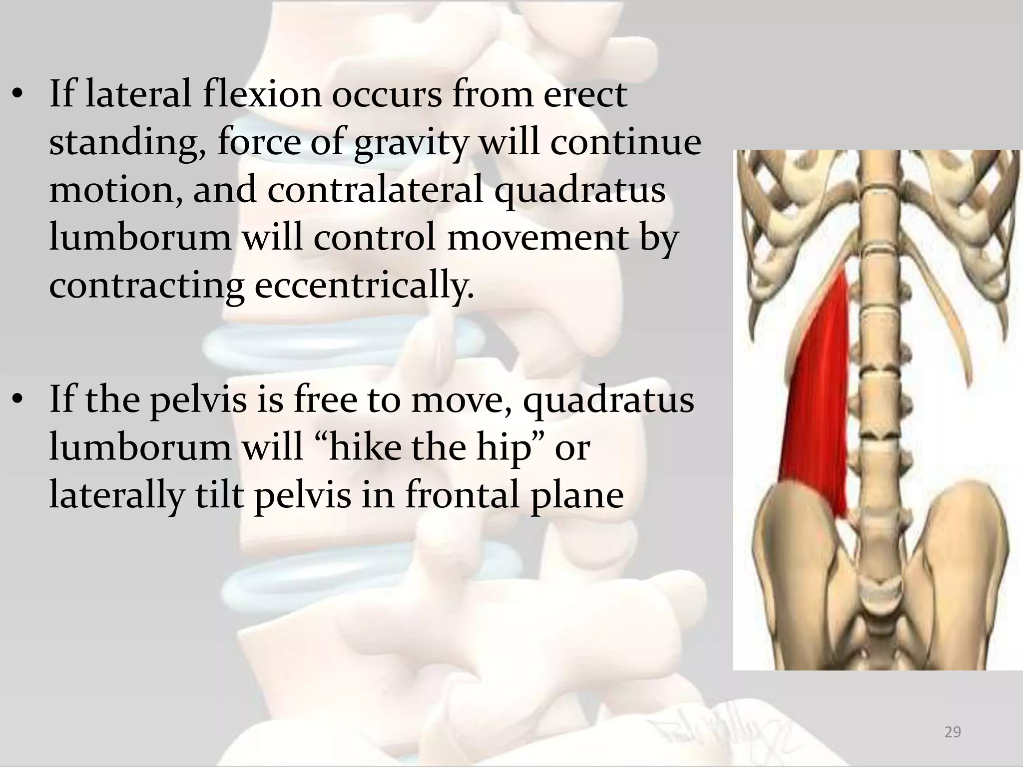 Biomechanics of lumbar spine | PPTX