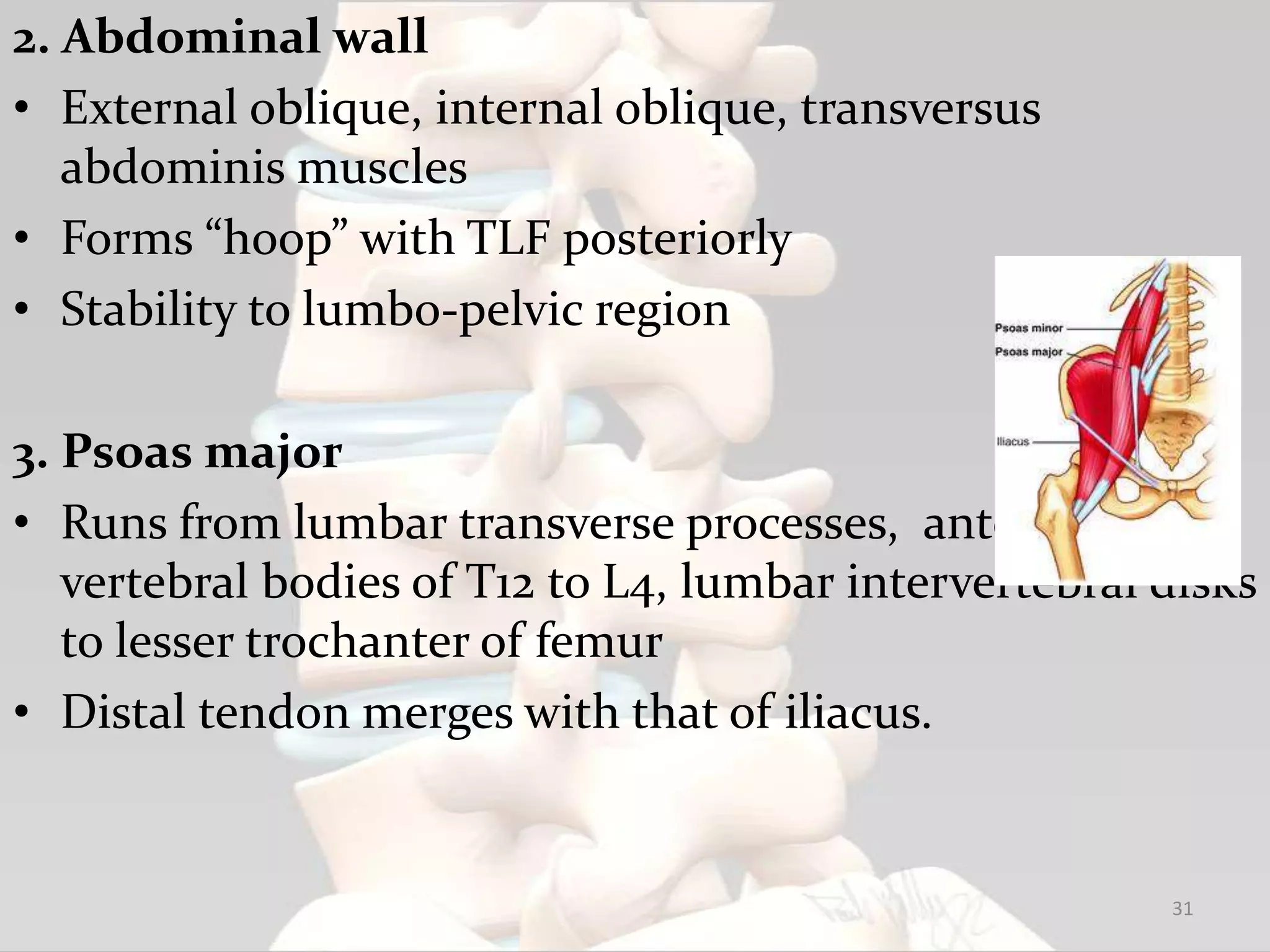 Biomechanics of lumbar spine | PPTX