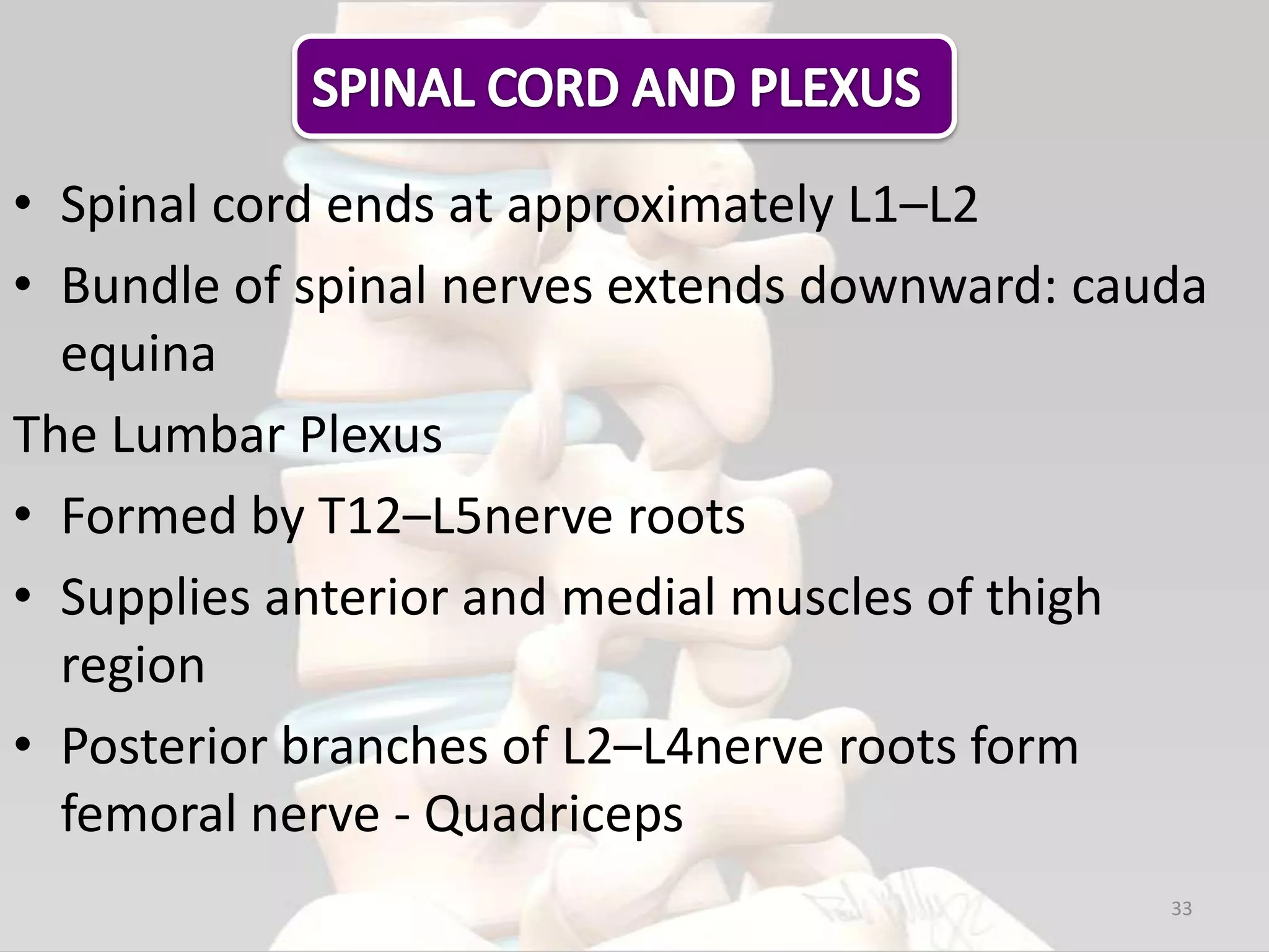 Biomechanics of lumbar spine | PPTX