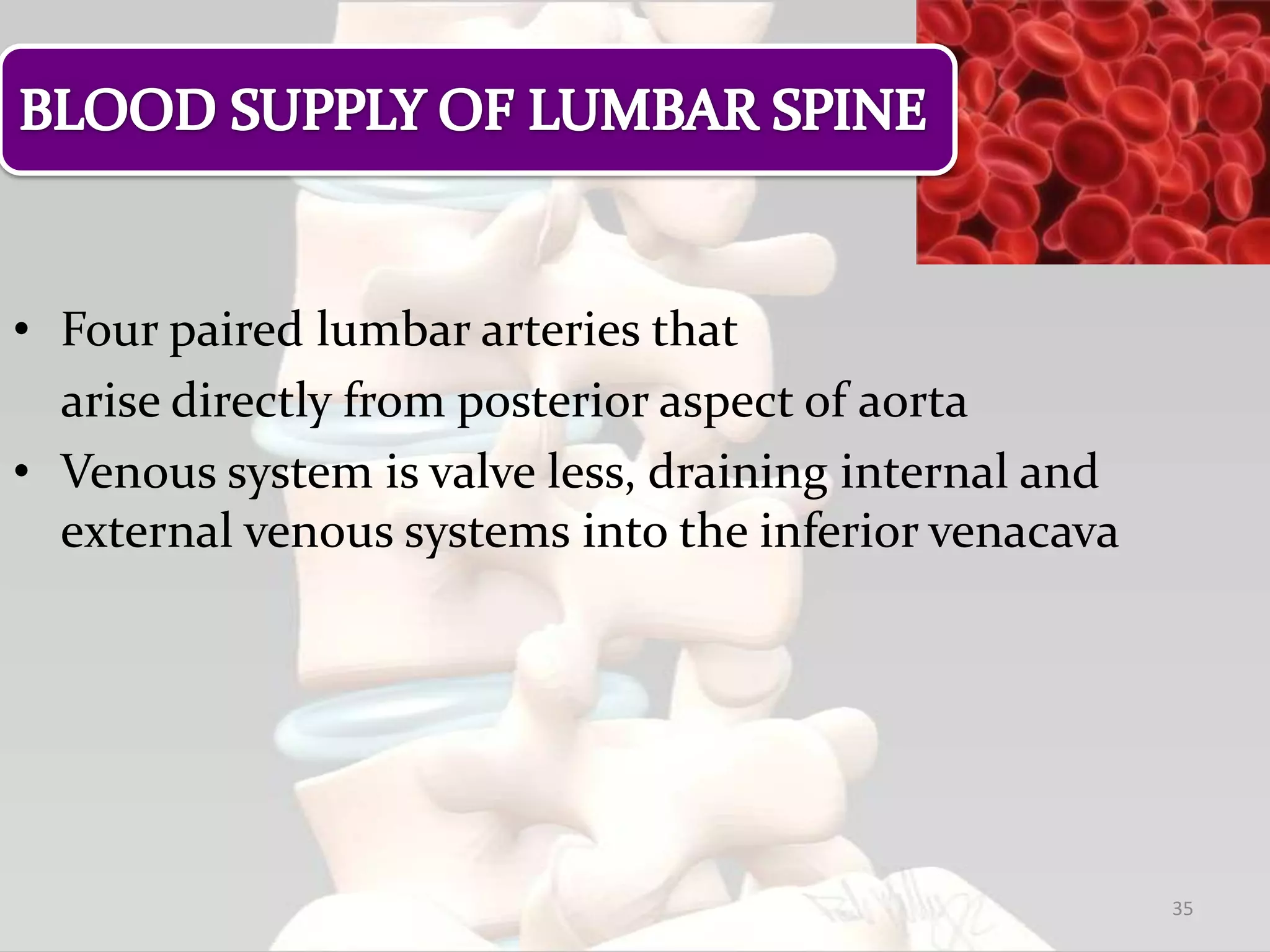Biomechanics of lumbar spine | PPTX