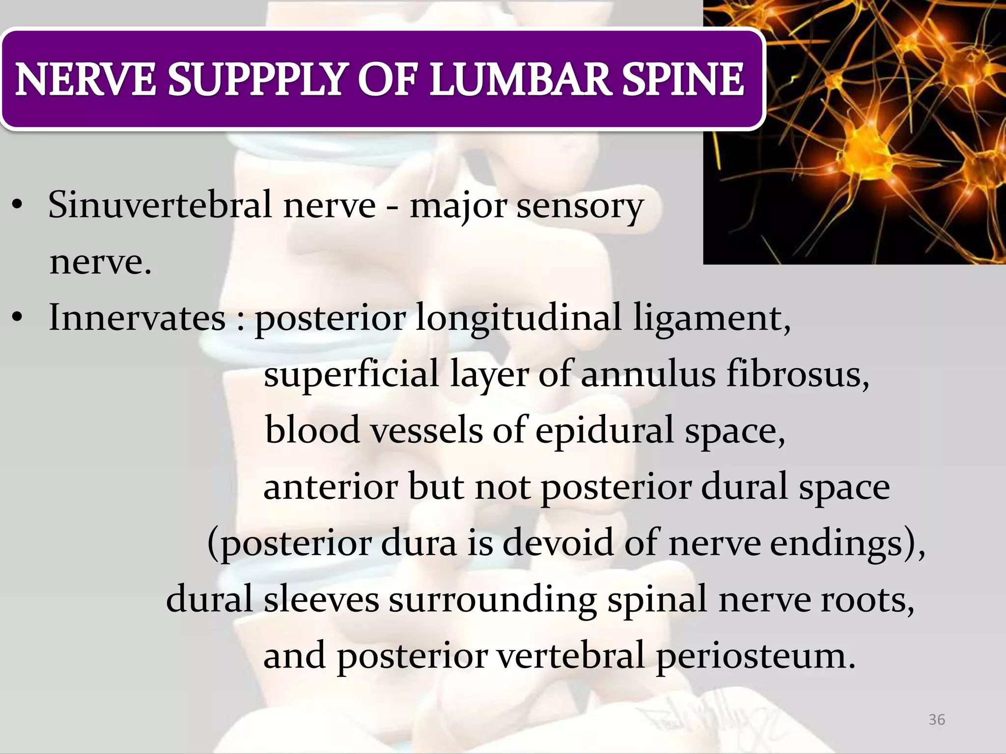 Biomechanics of lumbar spine | PPTX