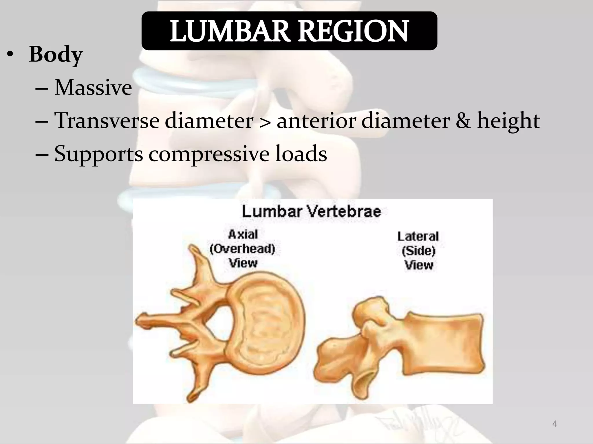 Biomechanics of lumbar spine | PPTX