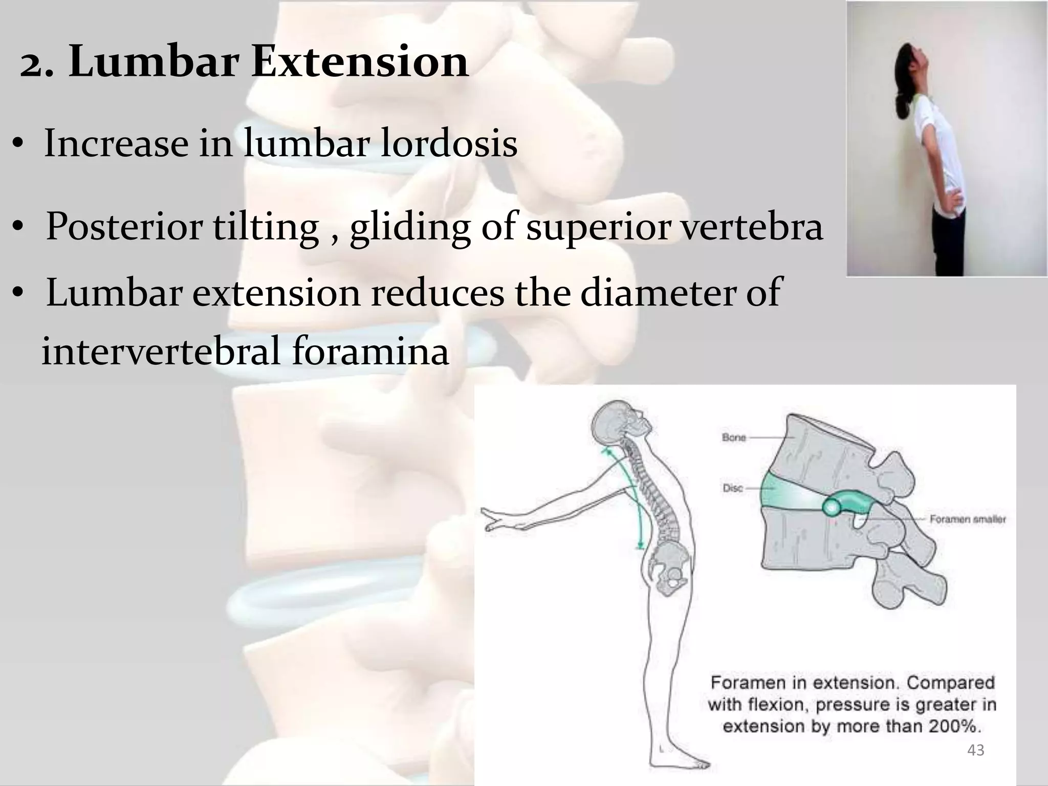 Biomechanics of lumbar spine | PPTX