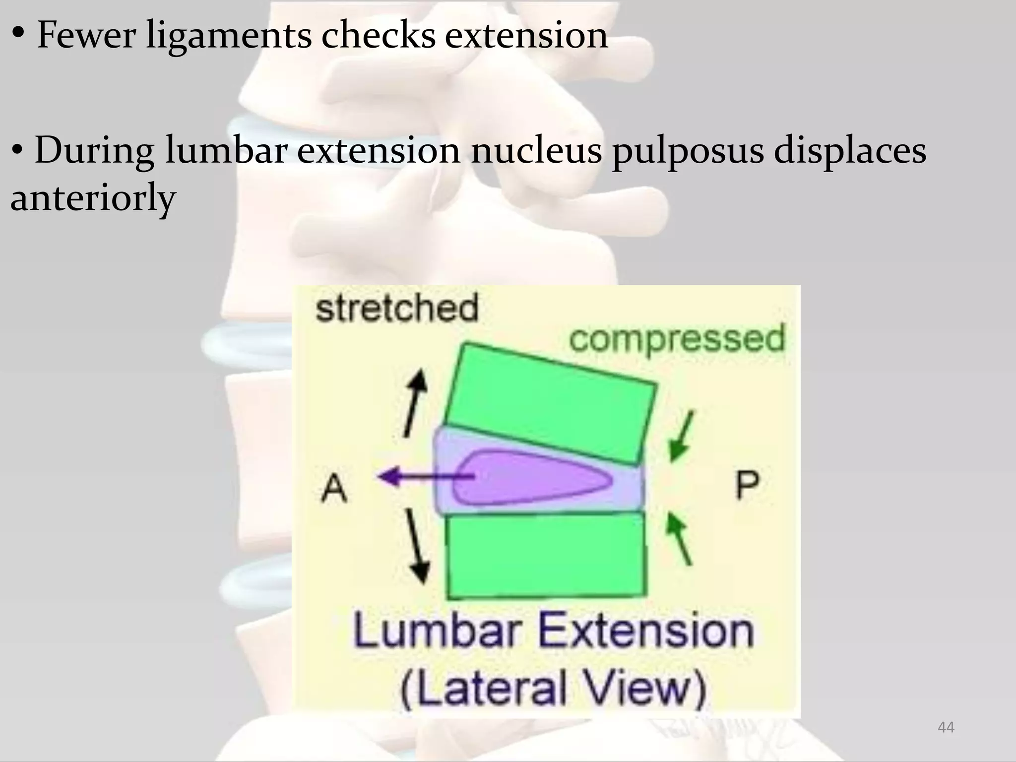 Biomechanics of lumbar spine | PPTX