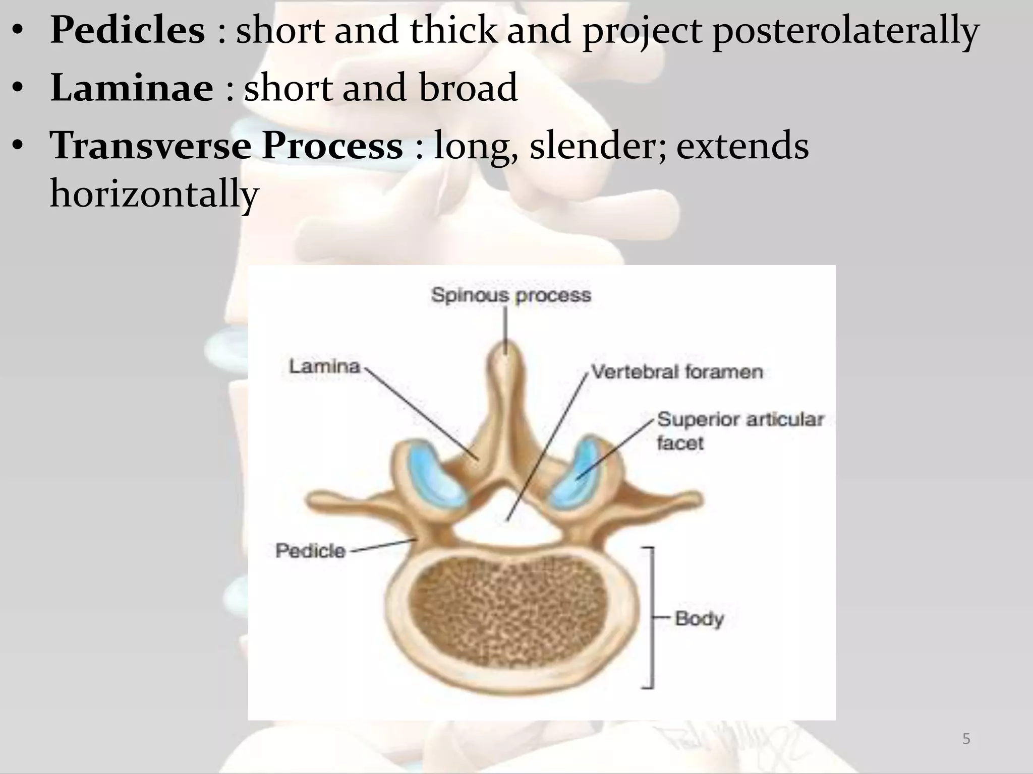 Biomechanics of lumbar spine | PPTX