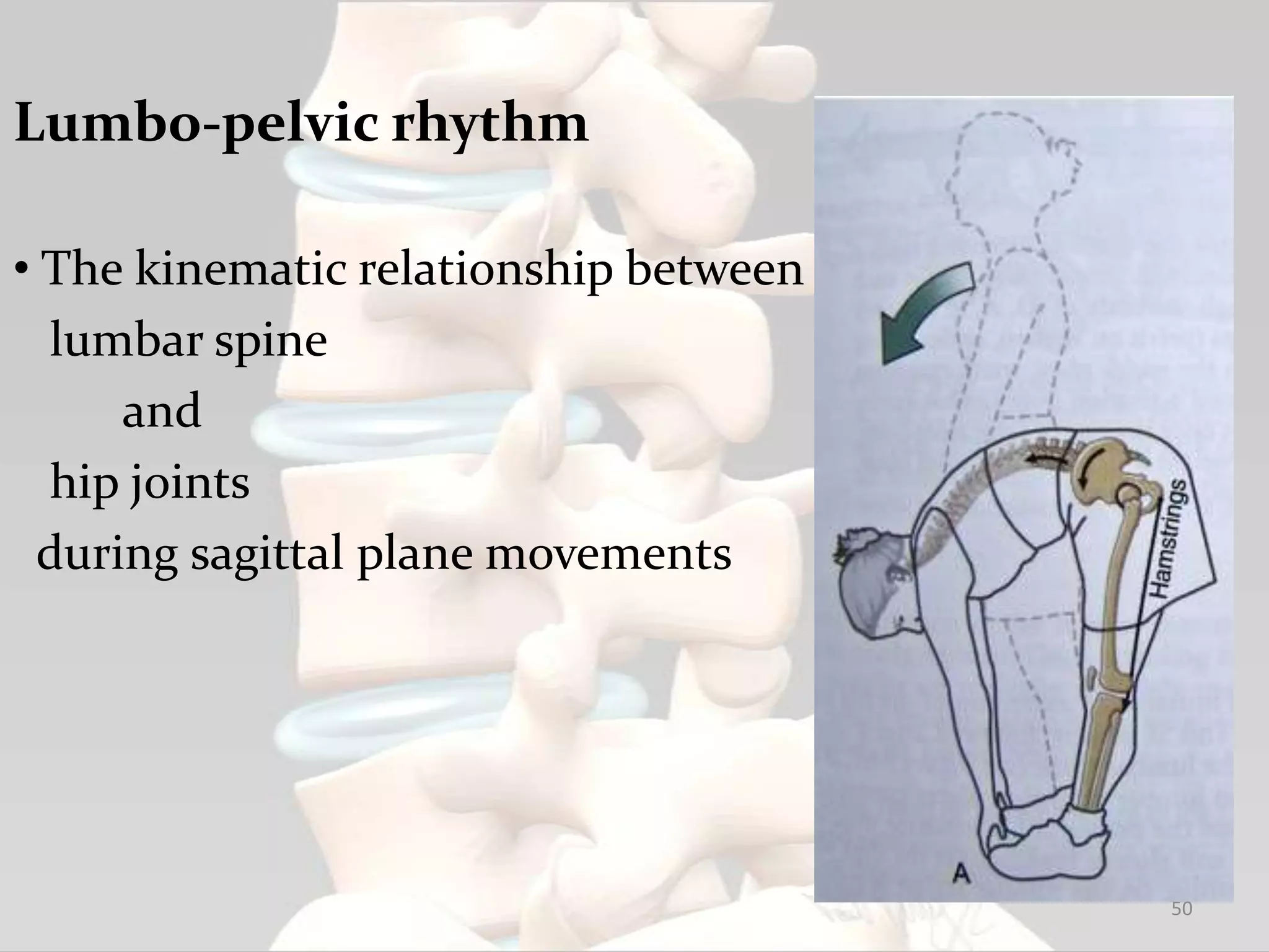 Biomechanics of lumbar spine | PPTX
