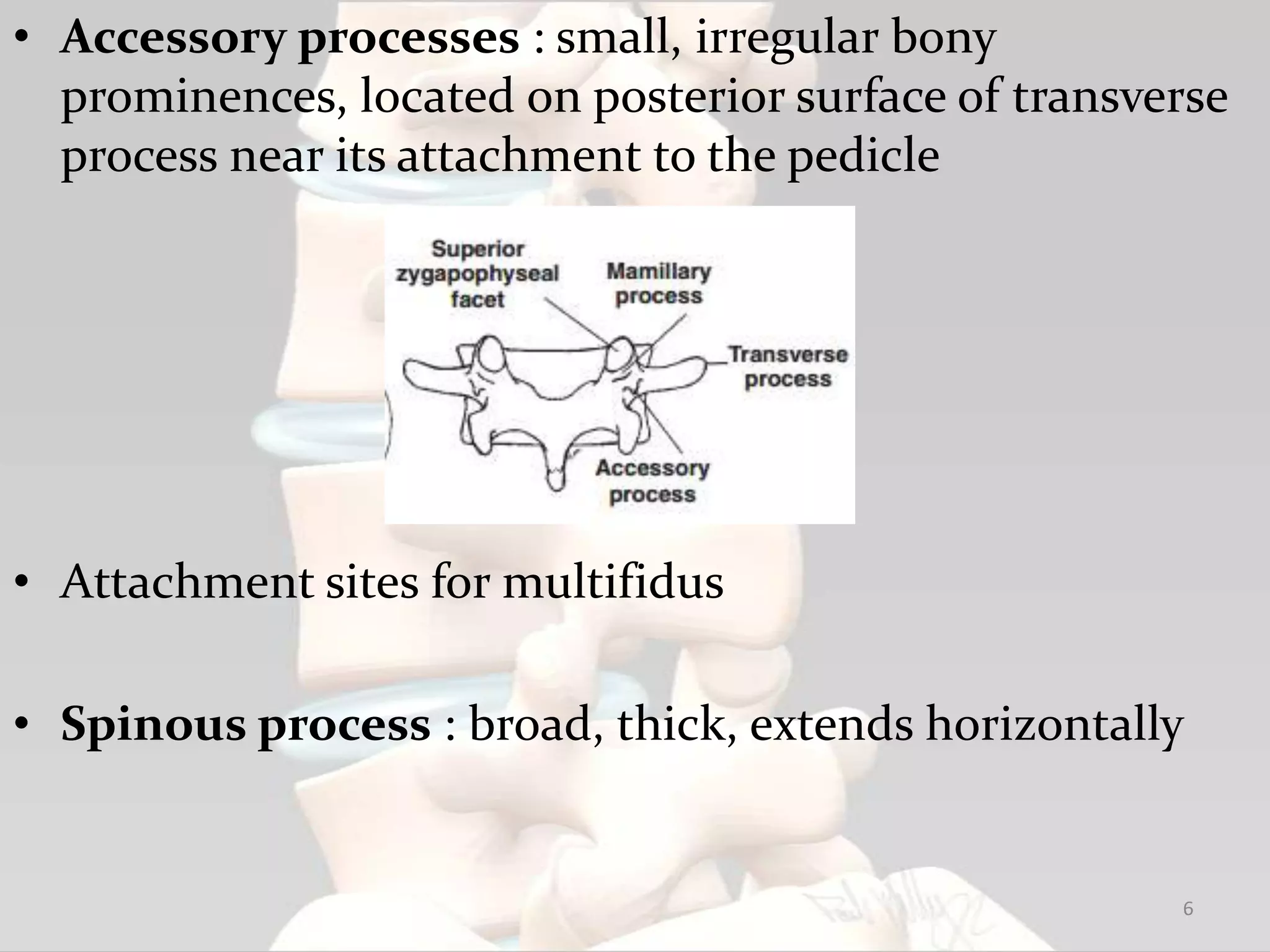 Biomechanics of lumbar spine | PPTX