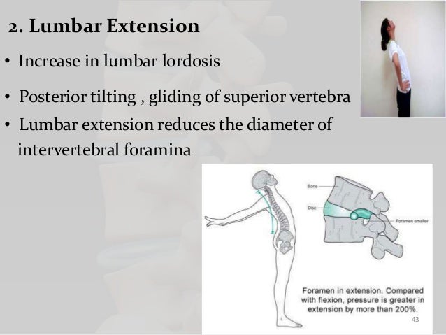 Biomechanics of lumbar spine