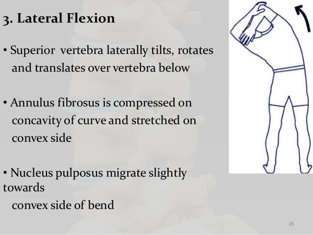 Biomechanics of lumbar spine