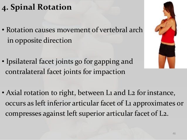 Biomechanics of lumbar spine