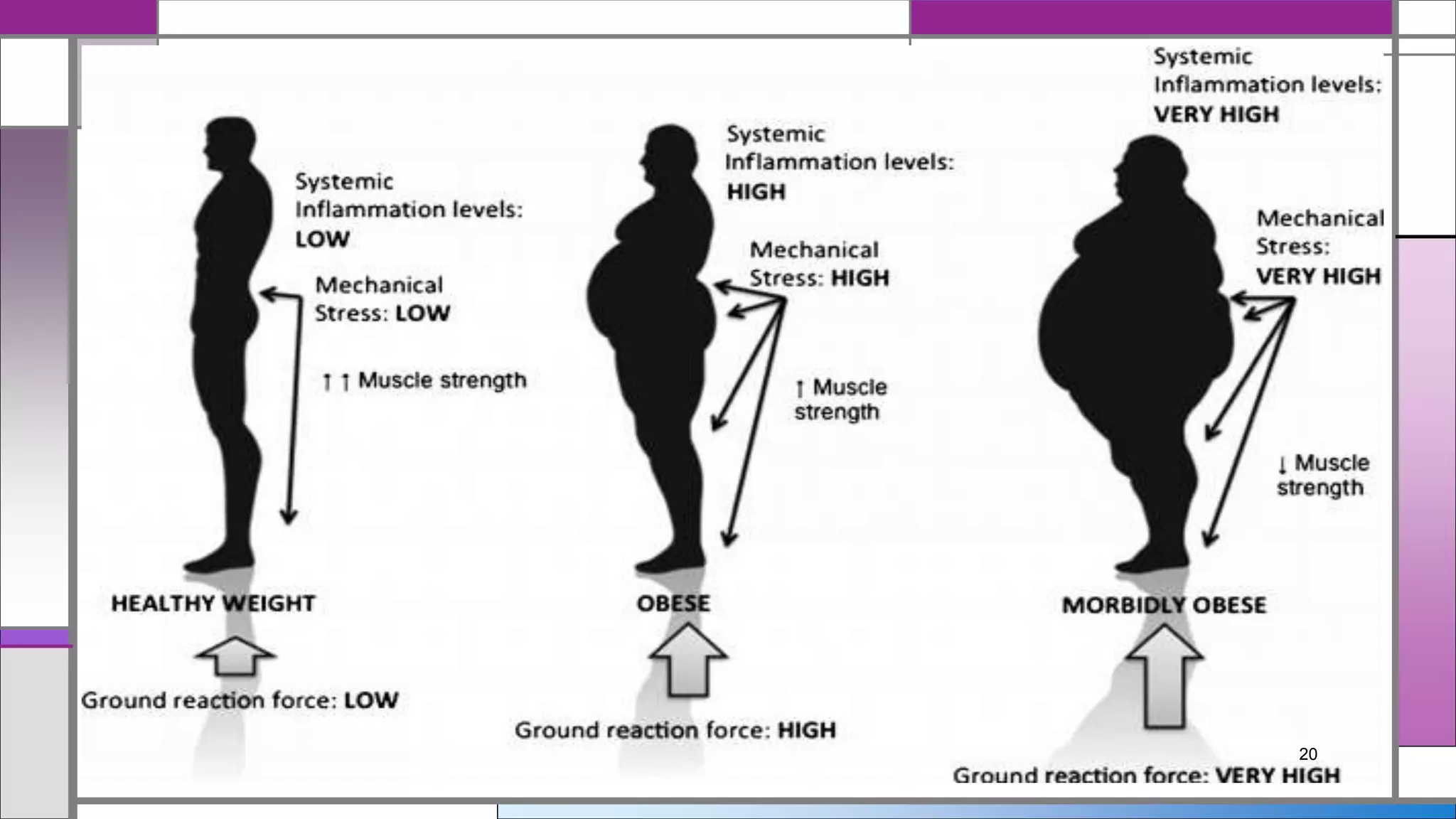 Biomechanics of lumbar spine | PPTX