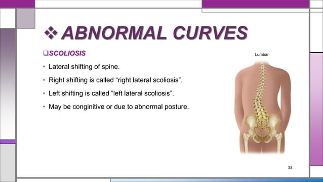 Biomechanics of lumbar spine | PPTX