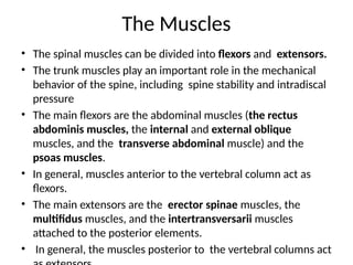 Biomechanics of lumbar spine 4th sem Dpt | PPTX
