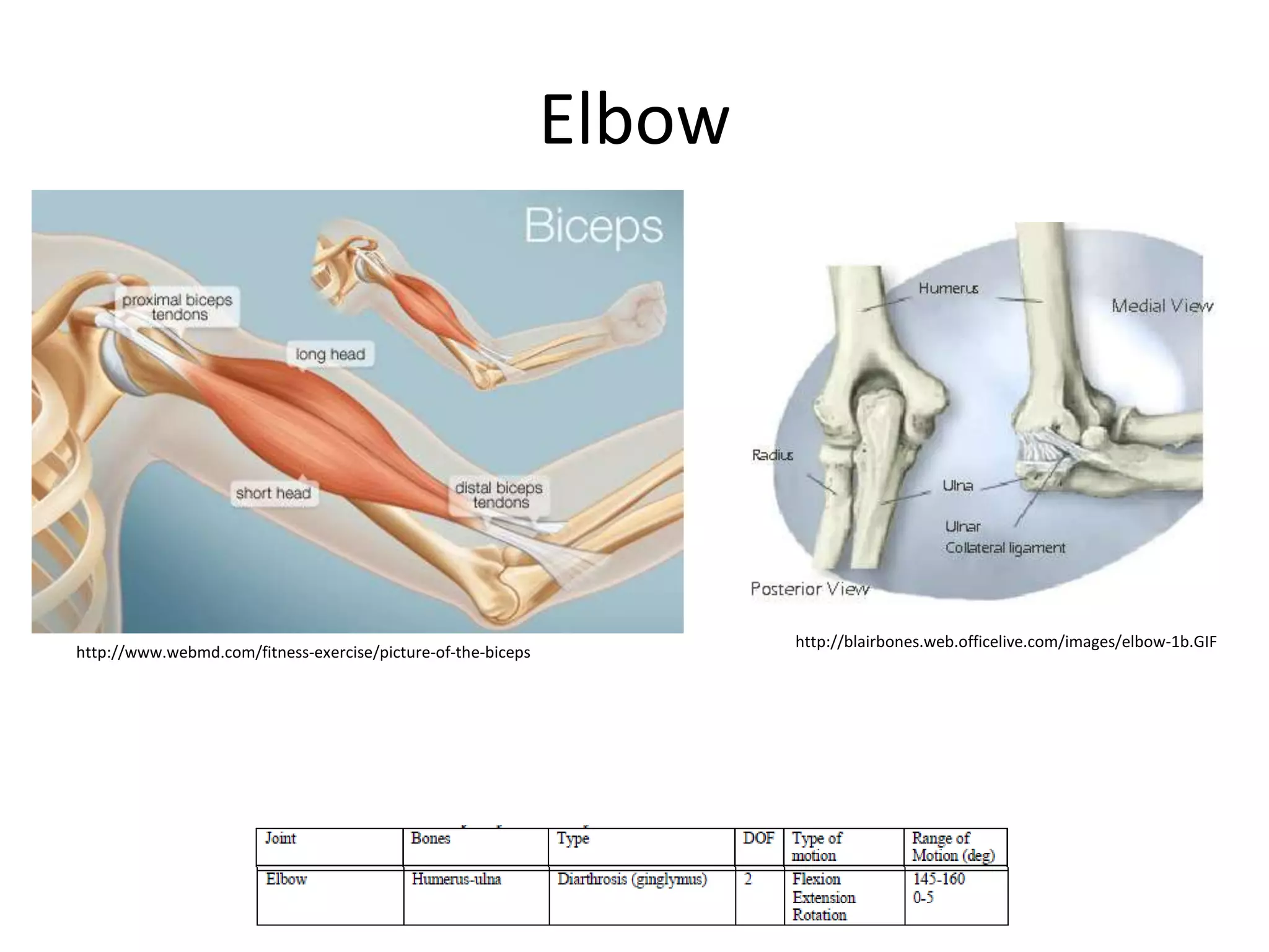Biomechanics of major joints | PPTX