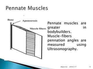 Biomechanics of musculoskeletal system | PPTX