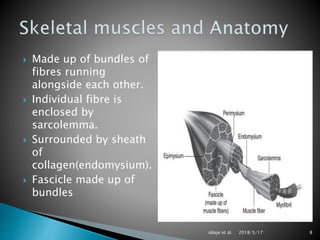 Biomechanics of musculoskeletal system | PPTX