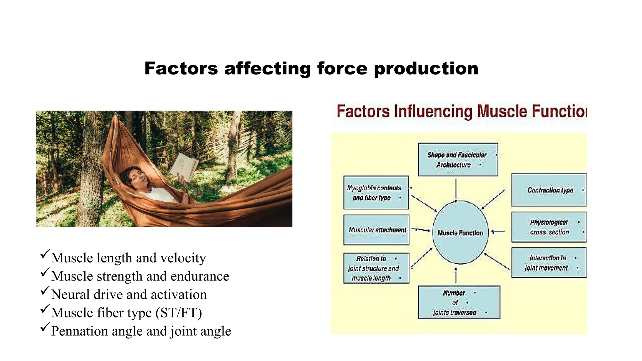 Biomechanics of musculoskeletal system | PPTX