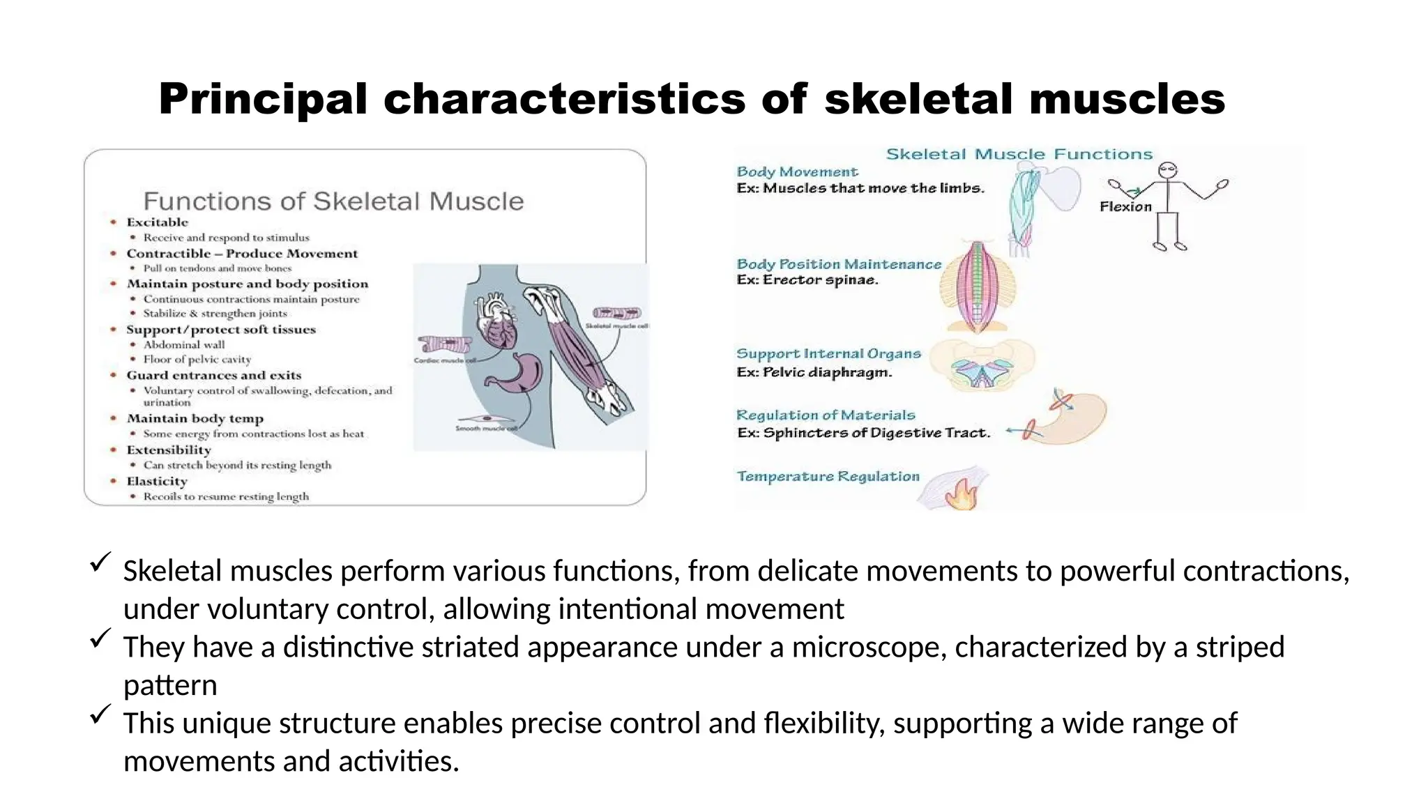 Biomechanics of musculoskeletal system | PPTX