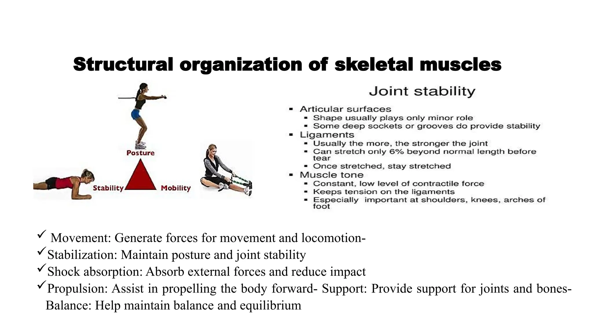 Biomechanics of musculoskeletal system | PPTX