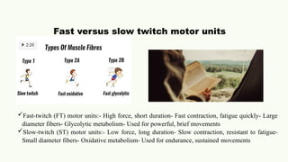 Biomechanics of musculoskeletal system | PPTX