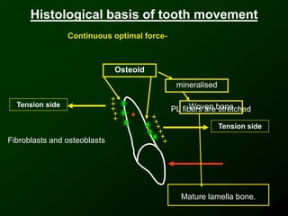Biomechanics of Orthodontic Tooth Movement _2 - Dr. Nabil Al-Zubair | PPTX