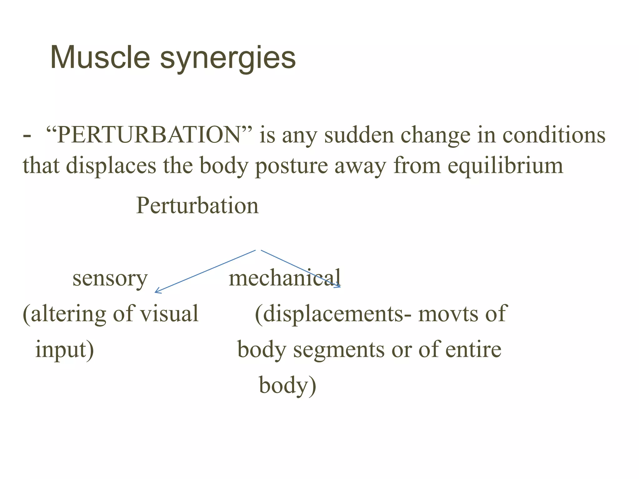 Biomechanics of posture | PPTX