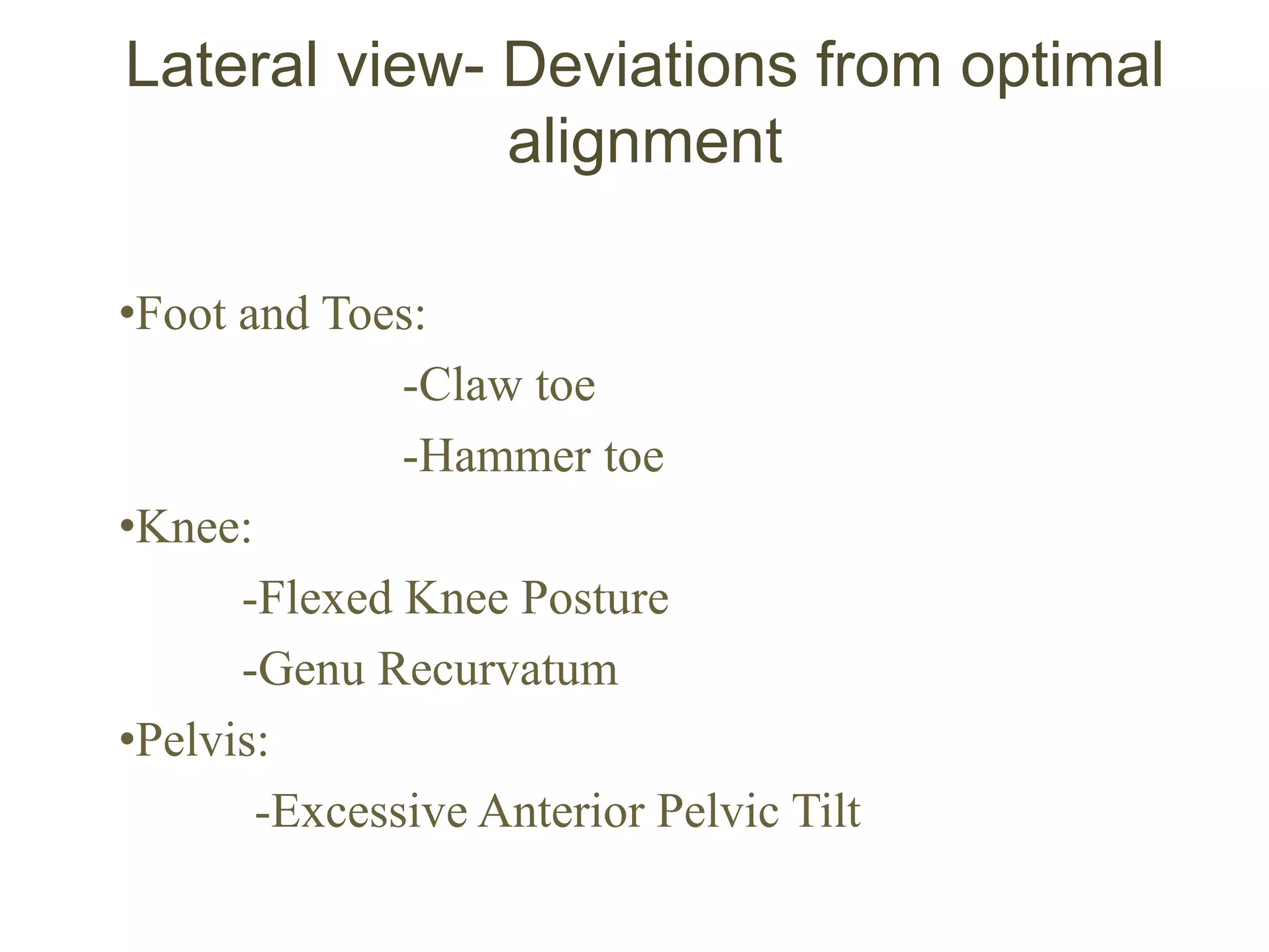 Biomechanics of posture | PPTX