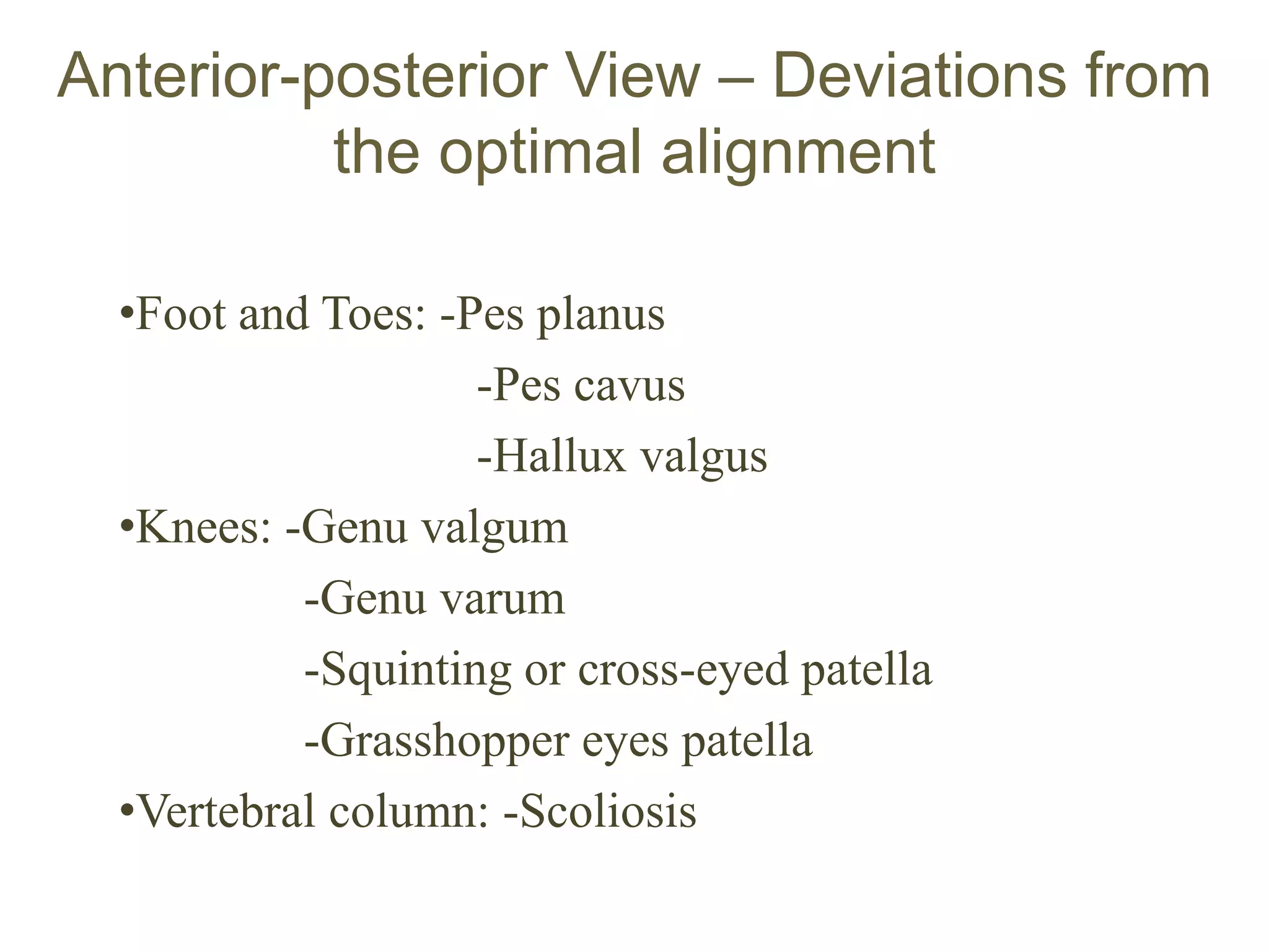 Biomechanics of posture | PPTX