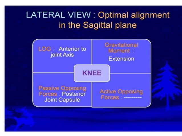 Biomechanics of posture | PPTX