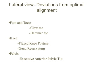 Biomechanics of posture | PPTX