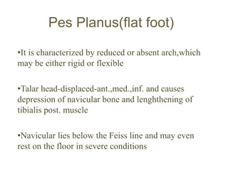 Biomechanics of posture | PPTX