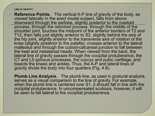 BIOMECHANICS OF POSTURE | PPTX
