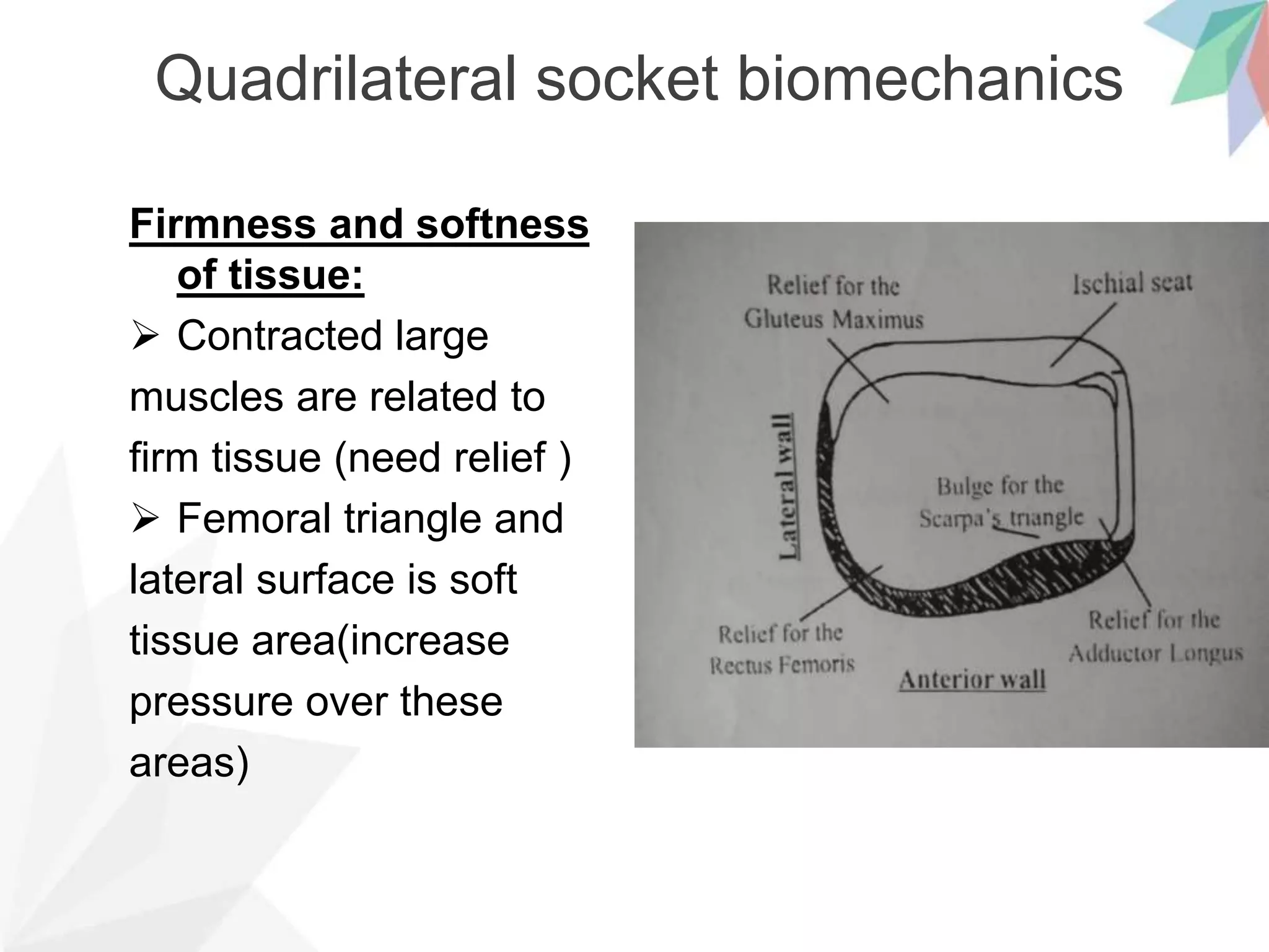 Biomechanics of Quadrilateral socket | PPTX