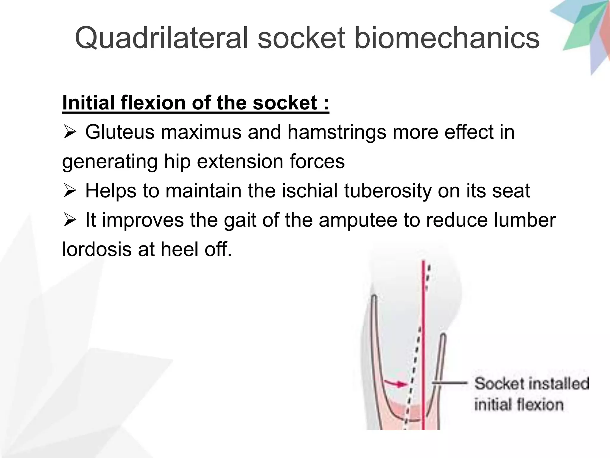 Biomechanics of Quadrilateral socket | PPTX