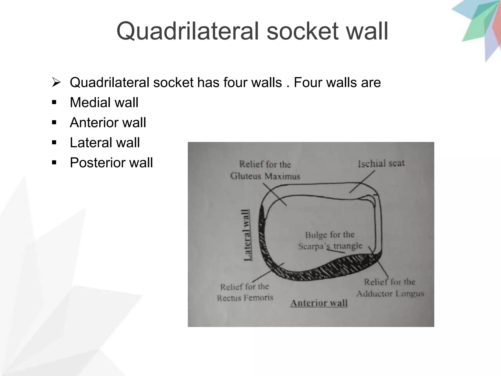 Biomechanics of Quadrilateral socket | PPTX