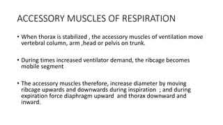 biomechanics of respiration.pptx