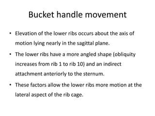 biomechanics of respiration, anatomy and physiology | PPT