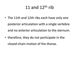 biomechanics of respiration, anatomy and physiology | PPT