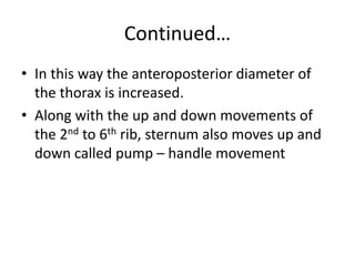 biomechanics of respiration, anatomy and physiology | PPT