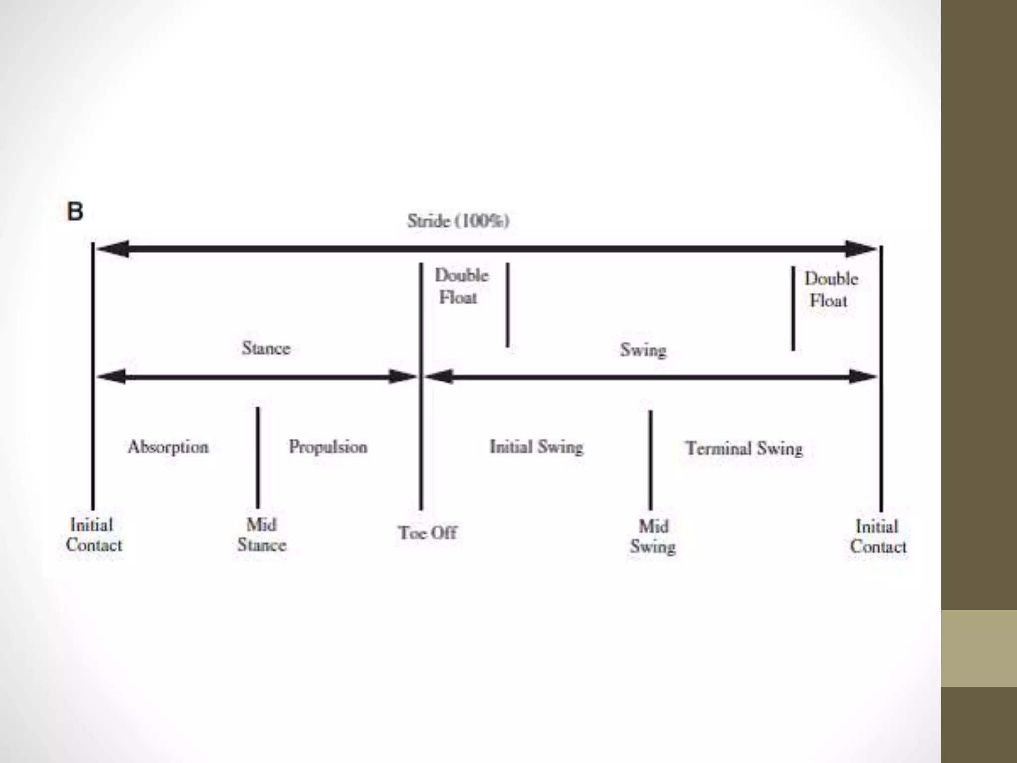 Biomechanics of Running | PPTX