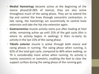 Biomechanics of Running | PPTX