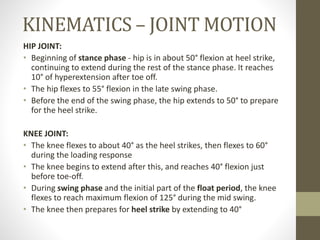 Biomechanics of Running | PPTX