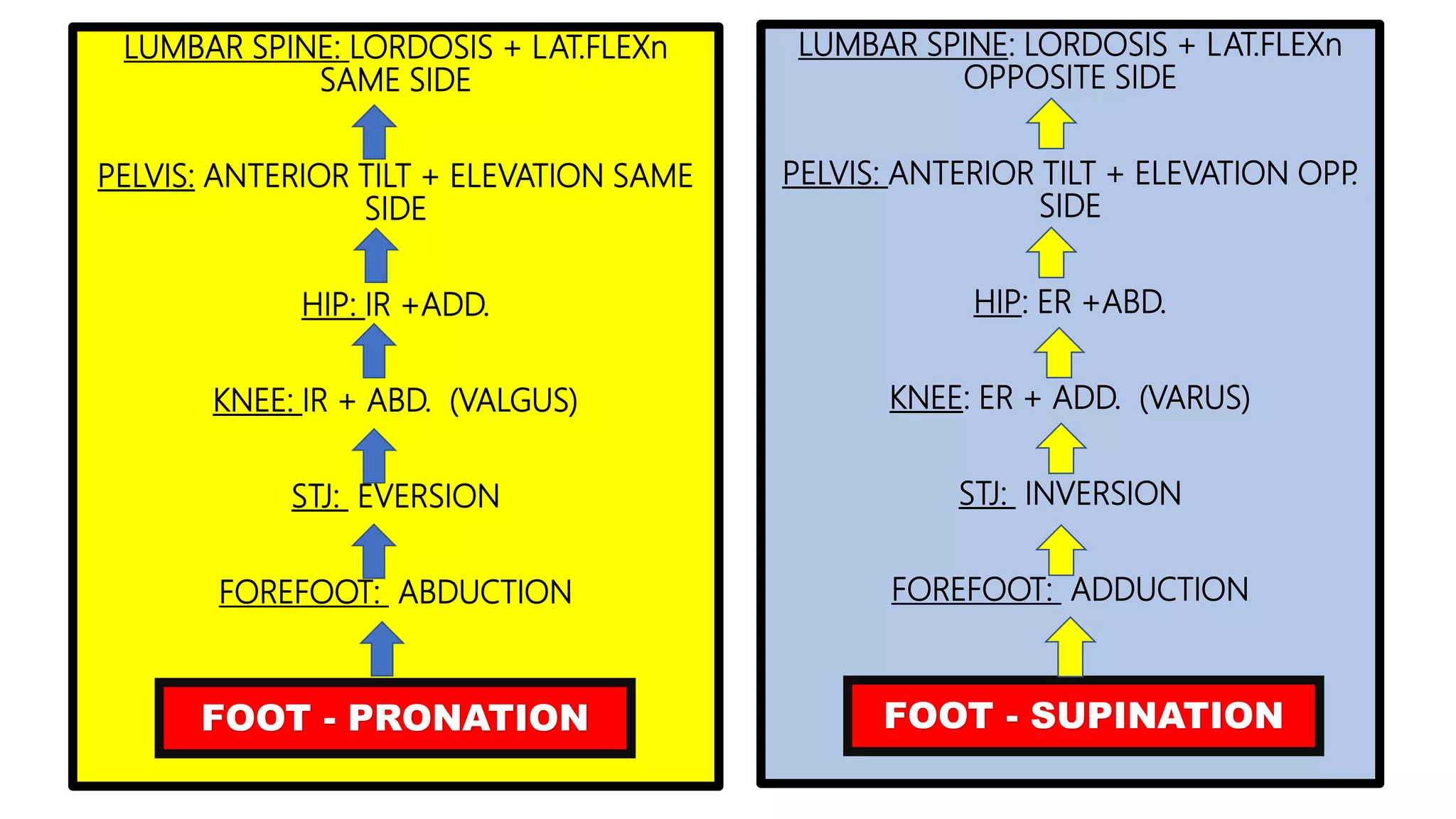 Biomechanics of running BY- KAVITA JOSHI MPT 2ND YEAR | PPTX
