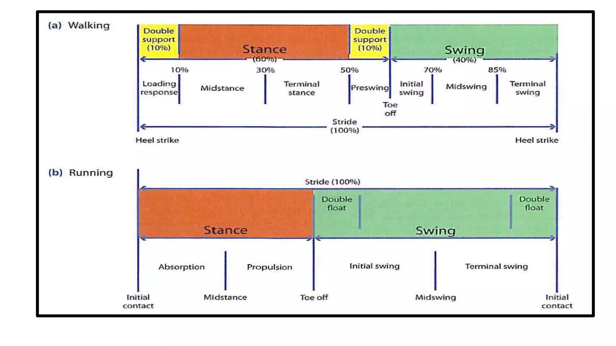 Biomechanics of running BY- KAVITA JOSHI MPT 2ND YEAR | PPTX