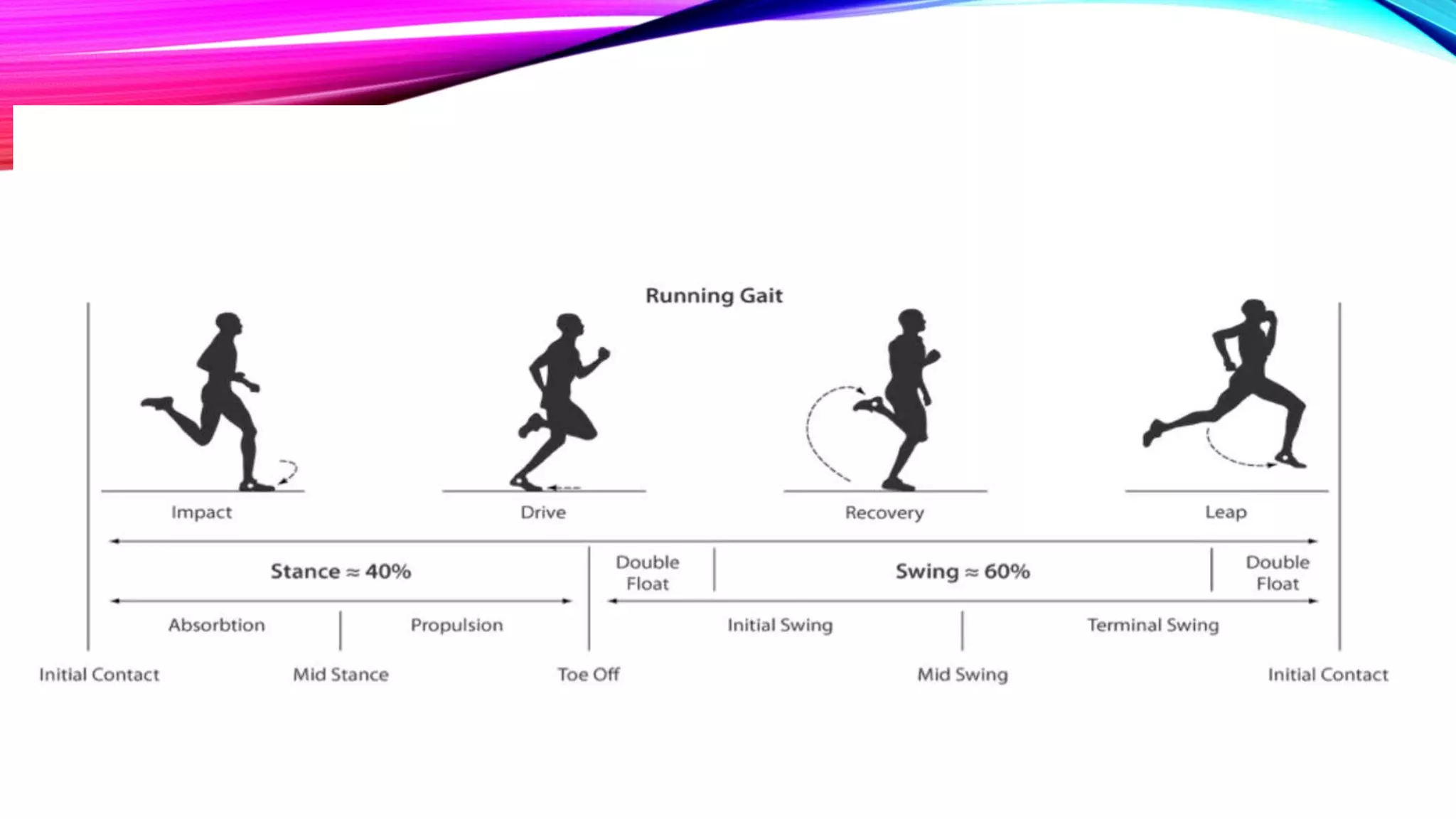 Biomechanics of running | PPTX